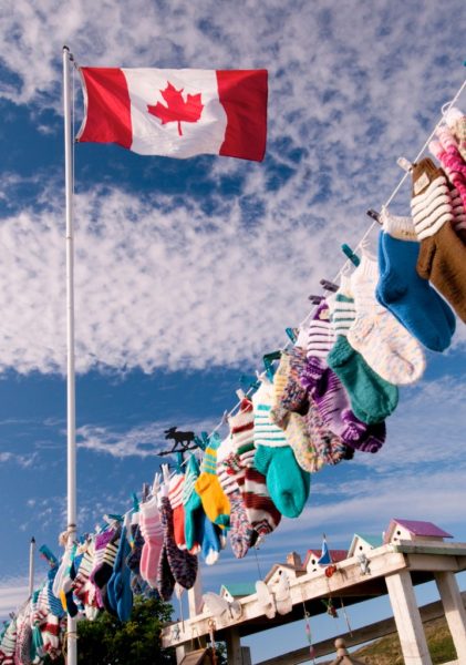 Newfoundland: Ageless Allure